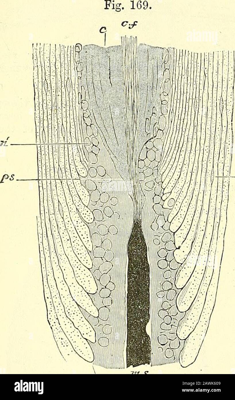 Granular Core High Resolution Stock Photography and Images - Alamy