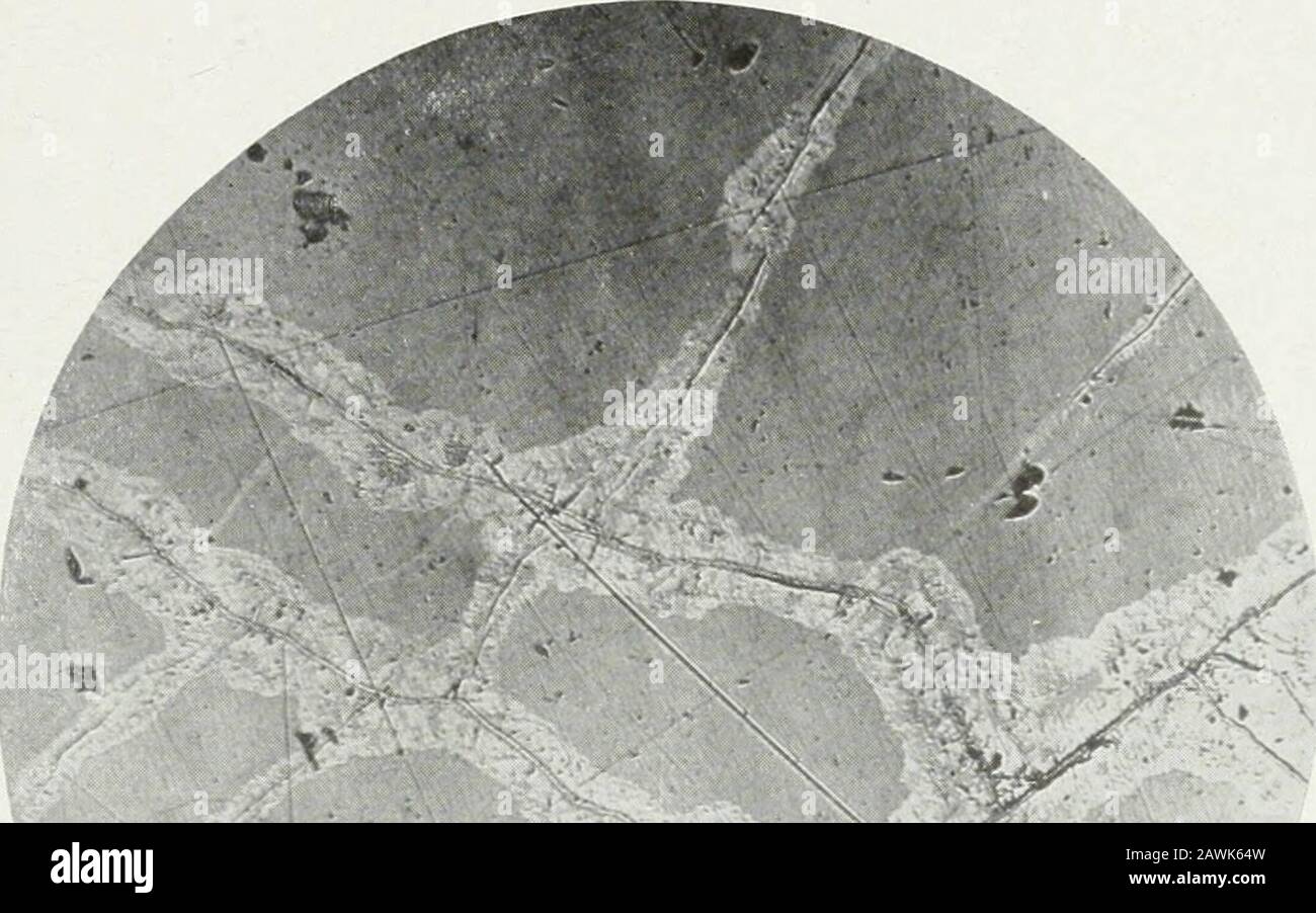 Bomite hi-res stock photography and images - Alamy