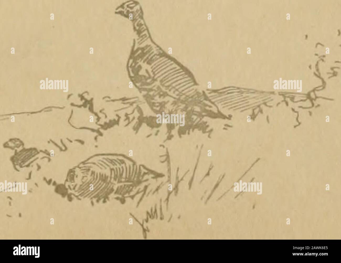 Clattering metal hi-res stock photography and images - Alamy