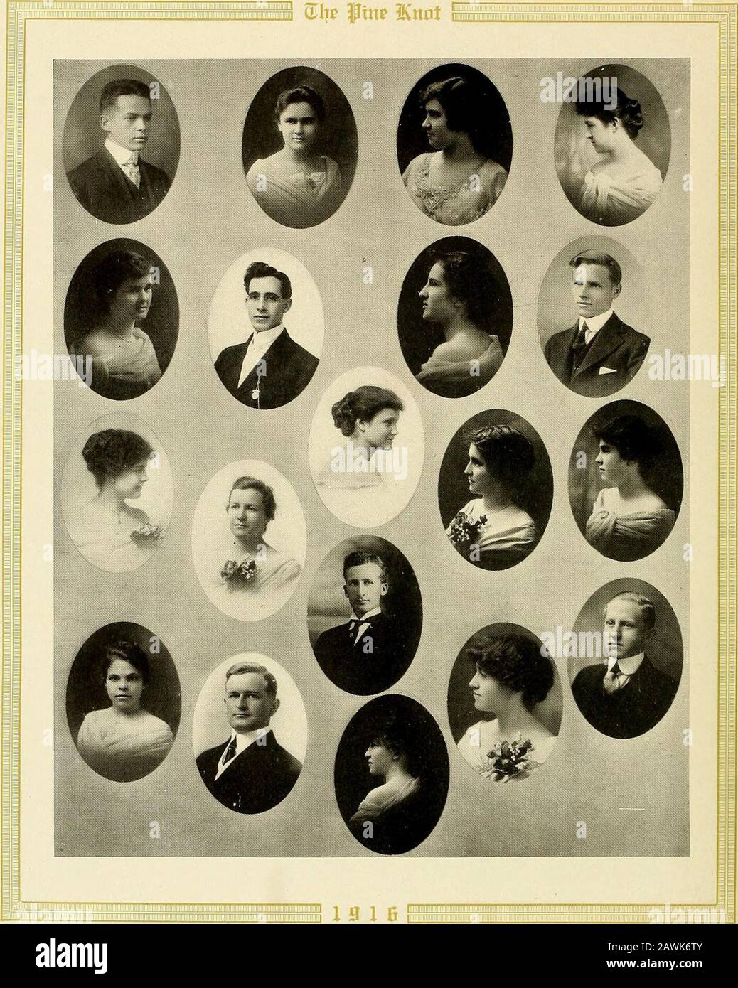 The Pine Knot Stock Photo - Alamy