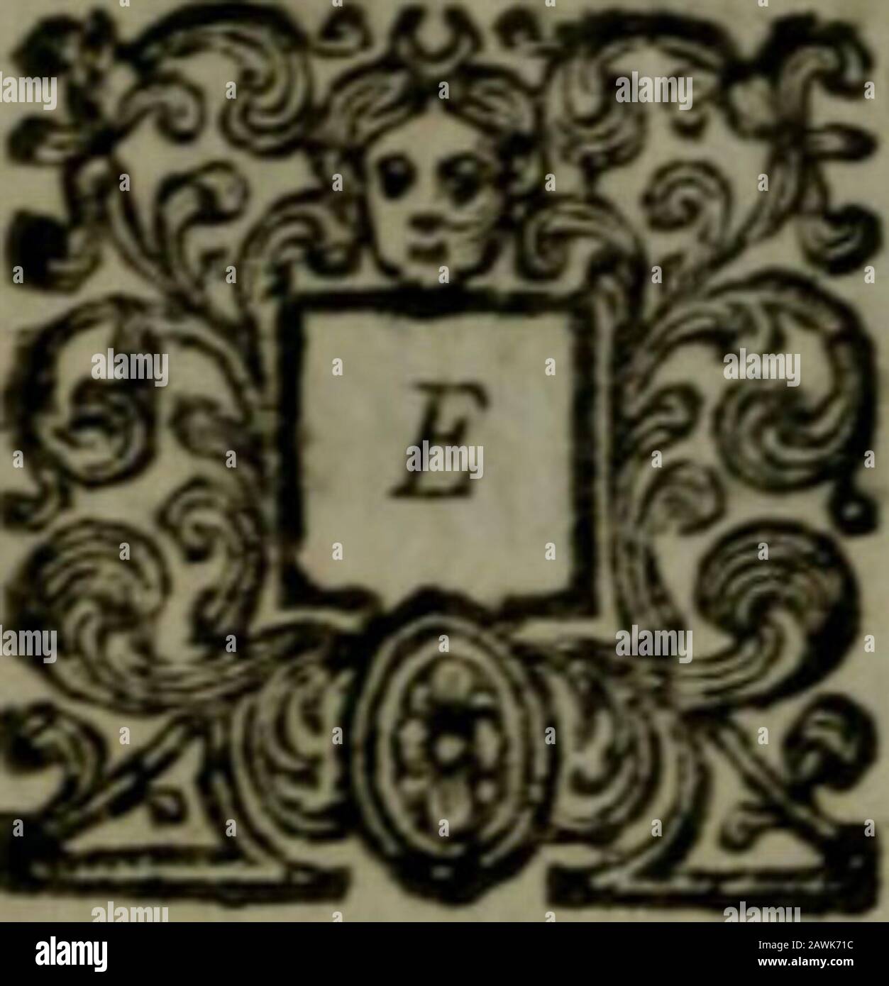 Tadia hi-res stock photography and images - Alamy