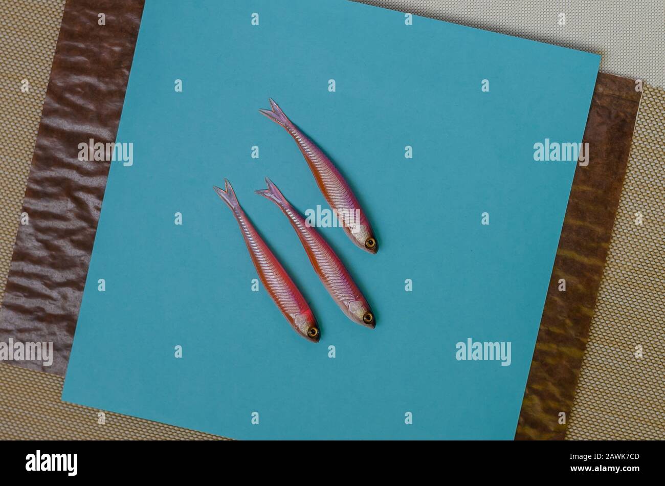 Fish biting lure hi-res stock photography and images - Alamy