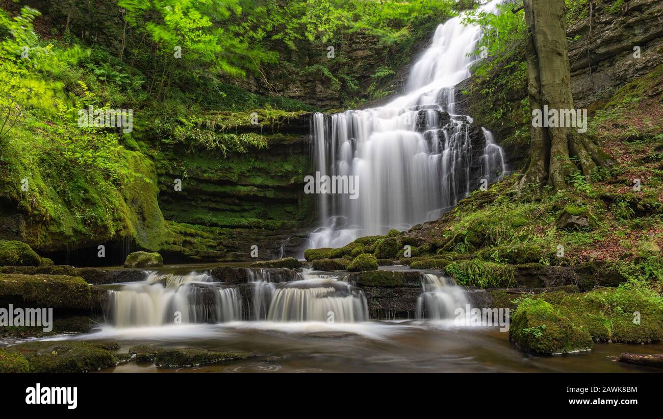 Moss force waterfall, hi-res stock photography and images - Alamy