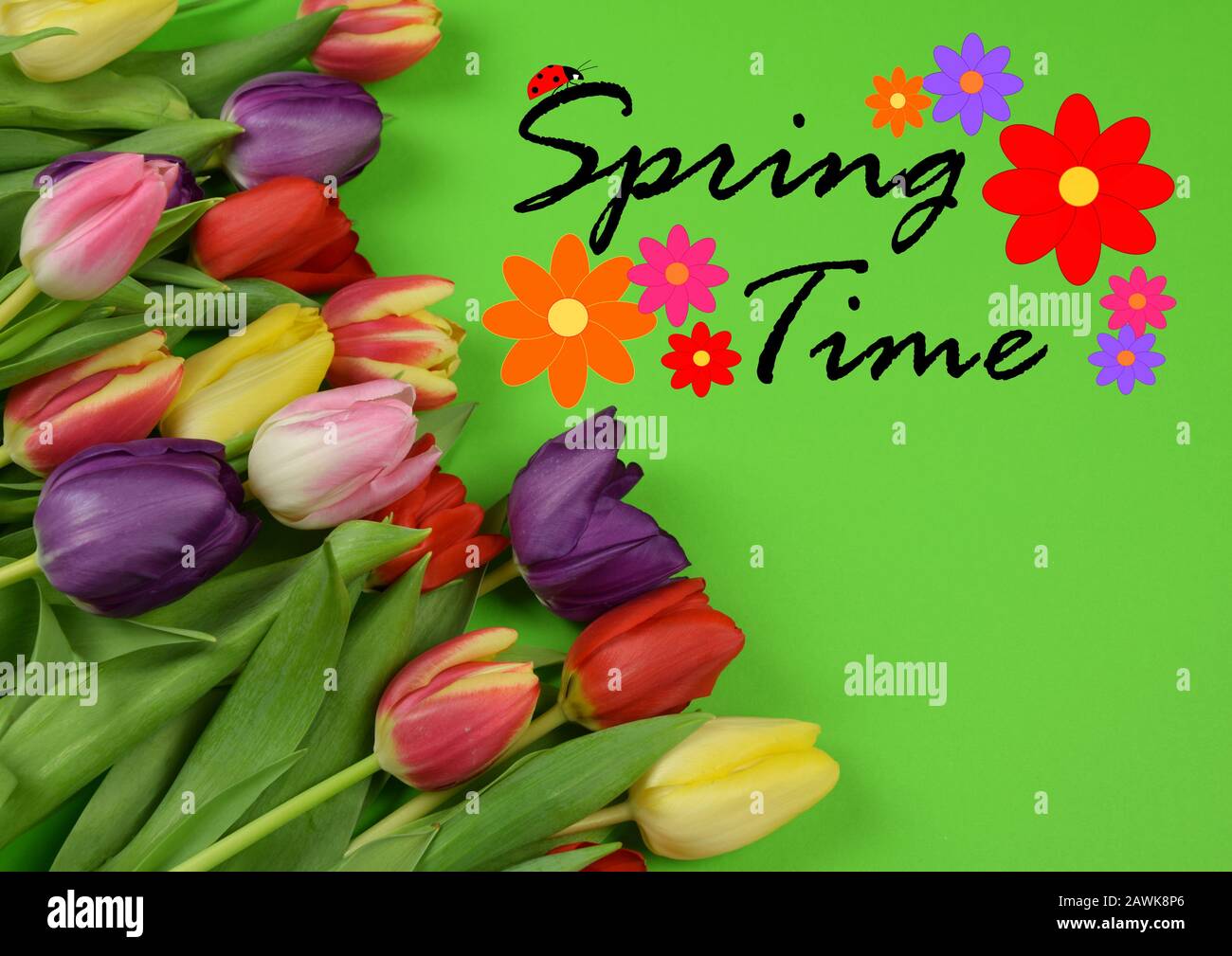 springtime - text on colored background Stock Photo - Alamy