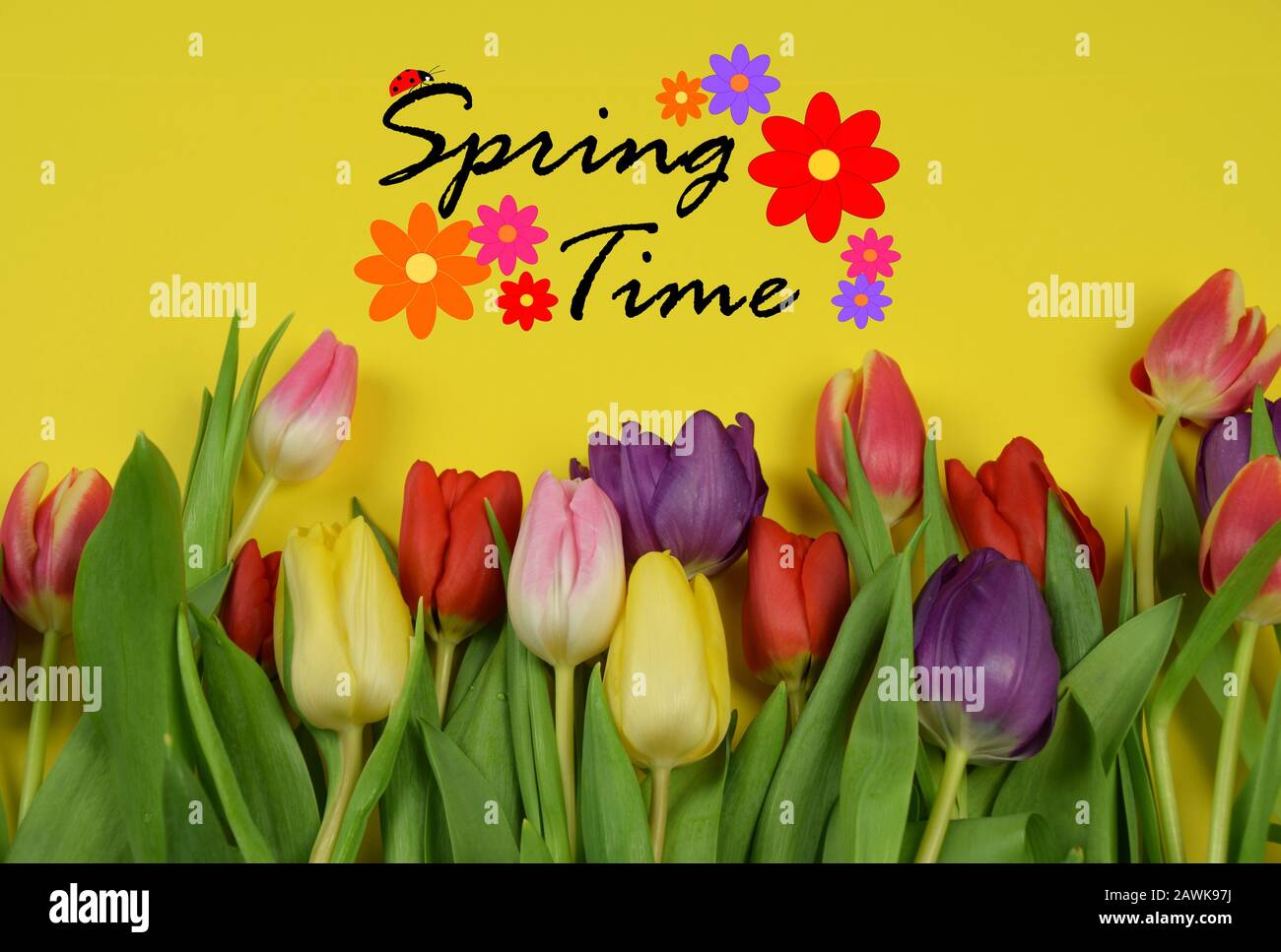 springtime - text on colored background Stock Photo - Alamy