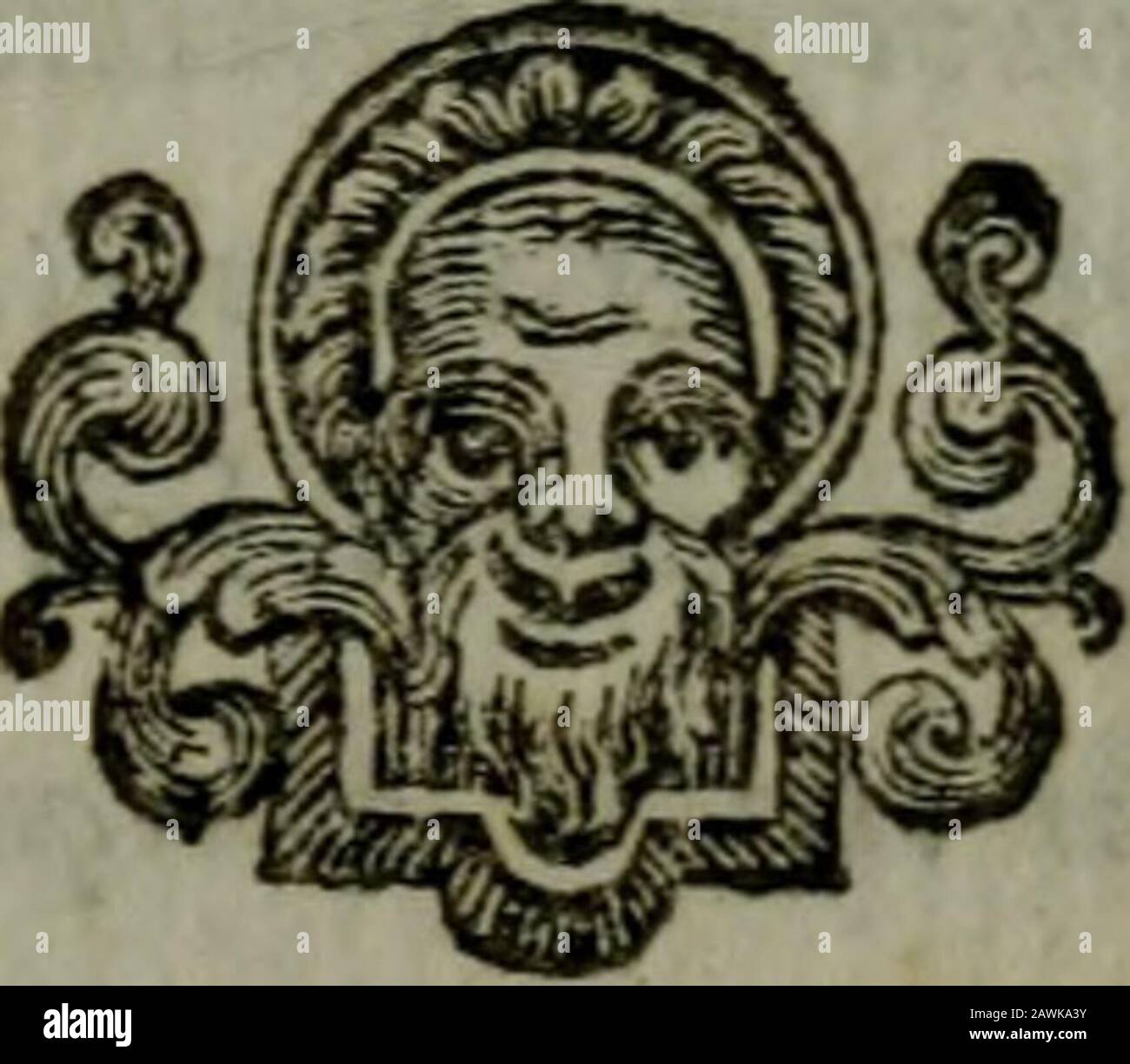 Varior hi-res stock photography and images - Alamy