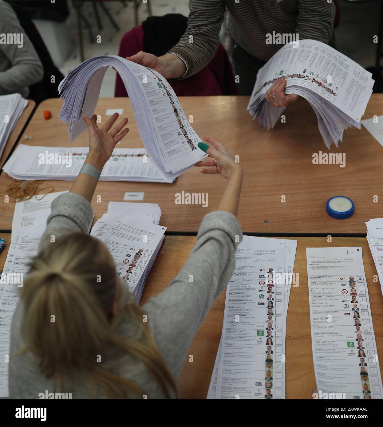 Counting staff during the Irish General Election count at the Nemo ...