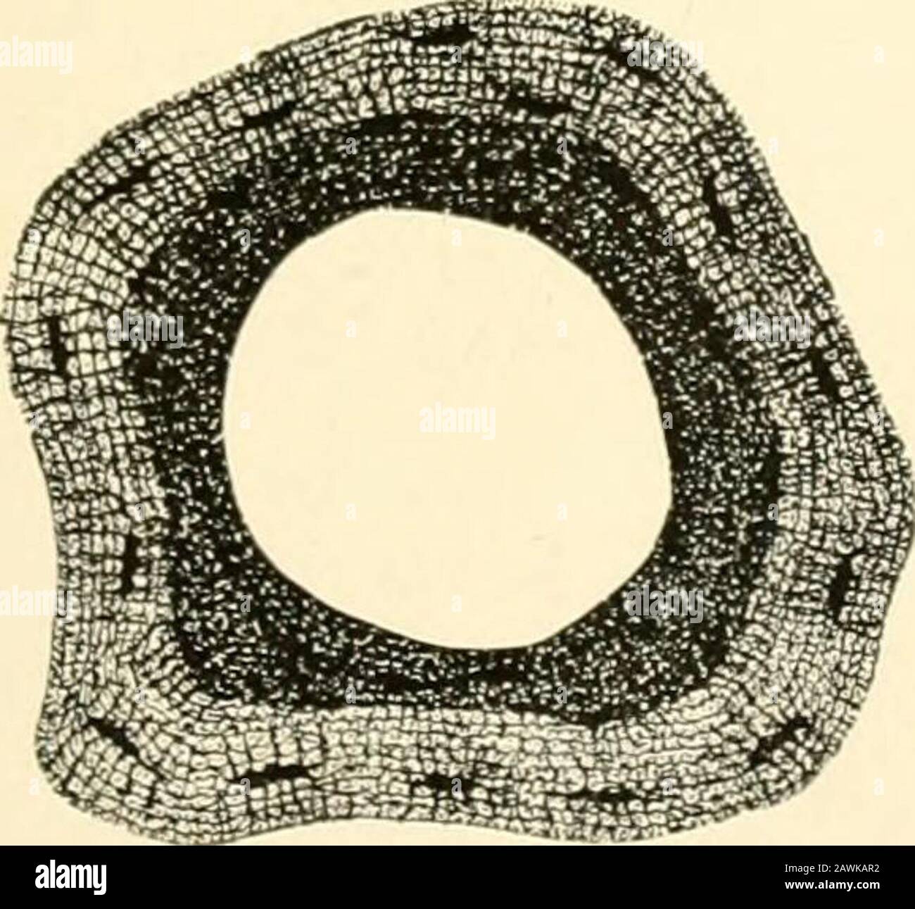 Geriatrics : the diseases of old age and their treatment, including ...