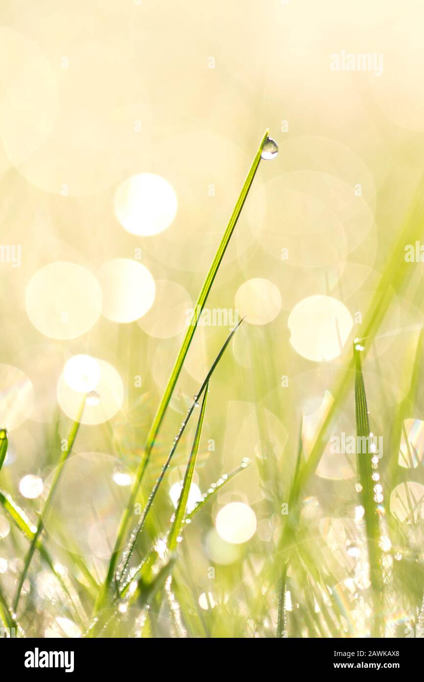 Warter droplet hi-res stock photography and images - Alamy