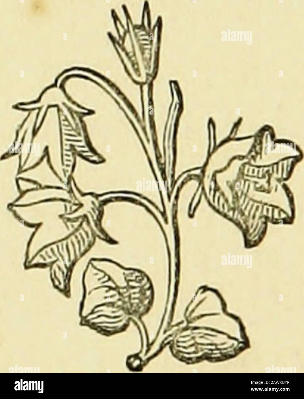 Robert digby hi-res stock photography and images - Alamy