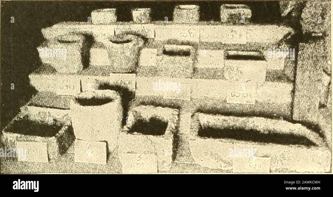 Hebrew life and times . ANCIENT HEBREW WEIGHTSFOR BALANCES Stock Photo ...