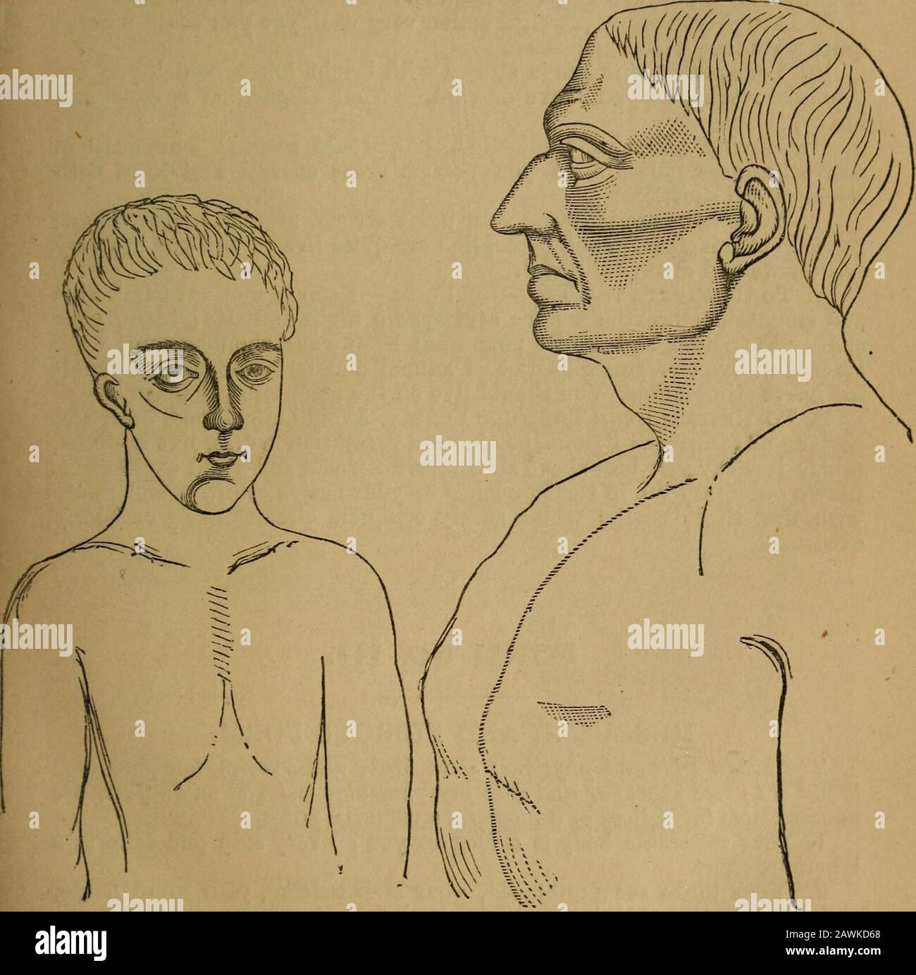 Fallopius High Resolution Stock Photography and Images - Alamy