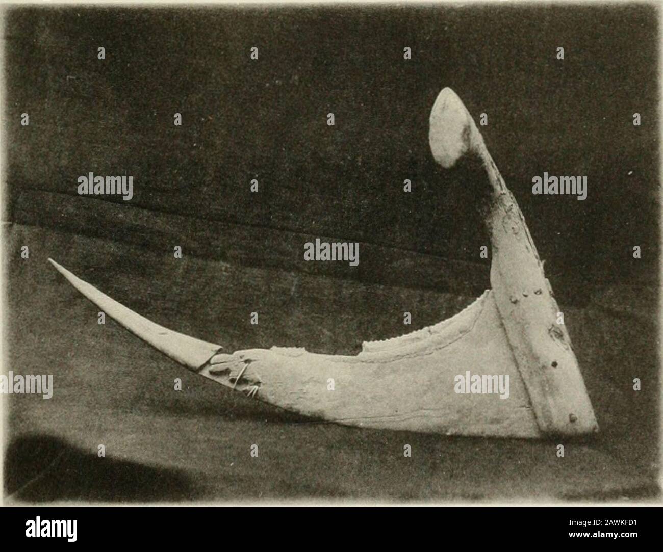 The Archaeological journal . SICKLES DISCOVERED BY MR. FLINDERS PETRIE ...
