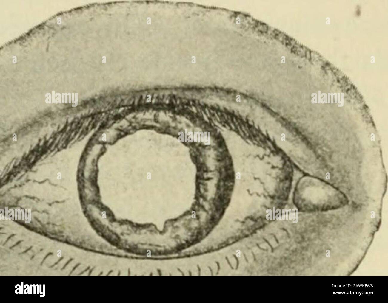Very faint sketch hi-res stock photography and images - Alamy