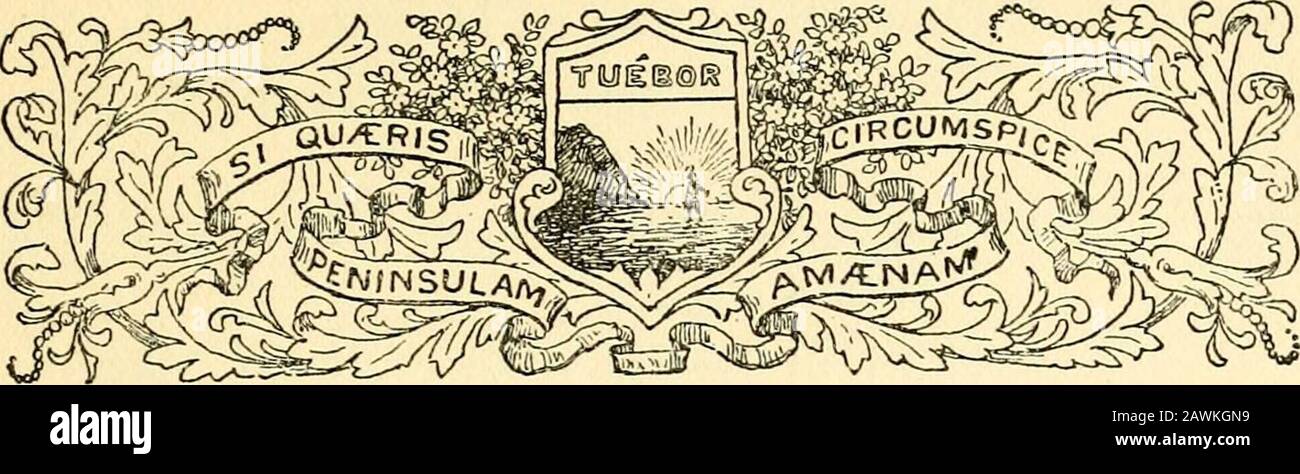 William white mayflower hi-res stock photography and images - Alamy