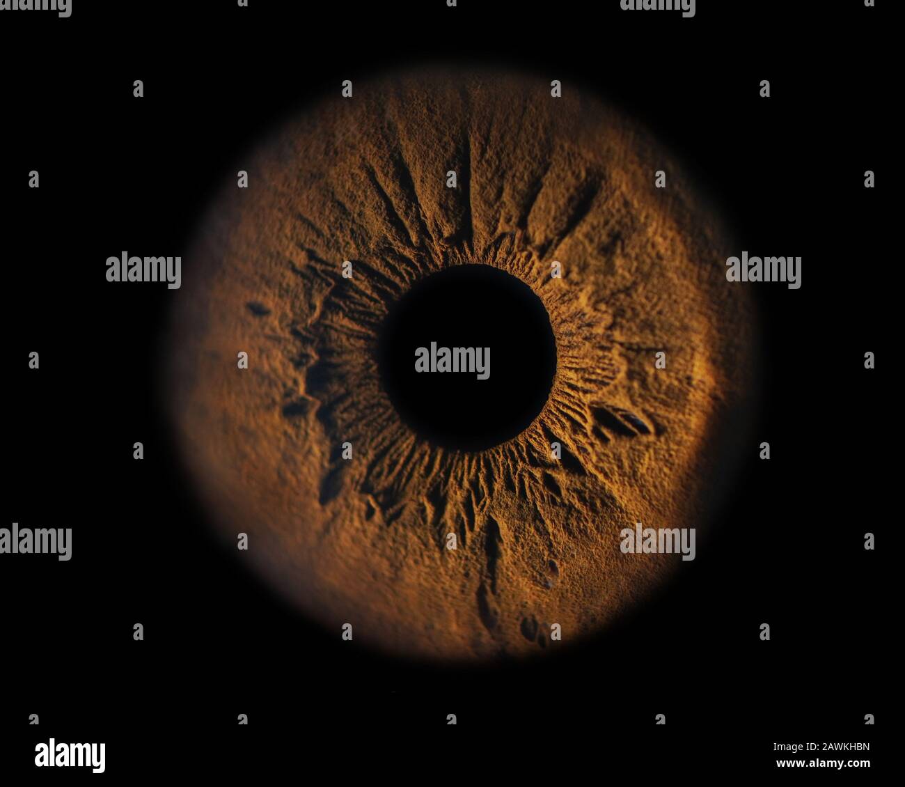 Human eye iris Stock Photo - Alamy