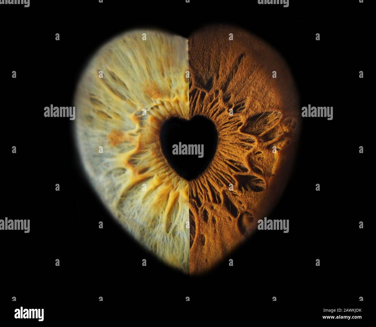 Human eye iris Stock Photo - Alamy