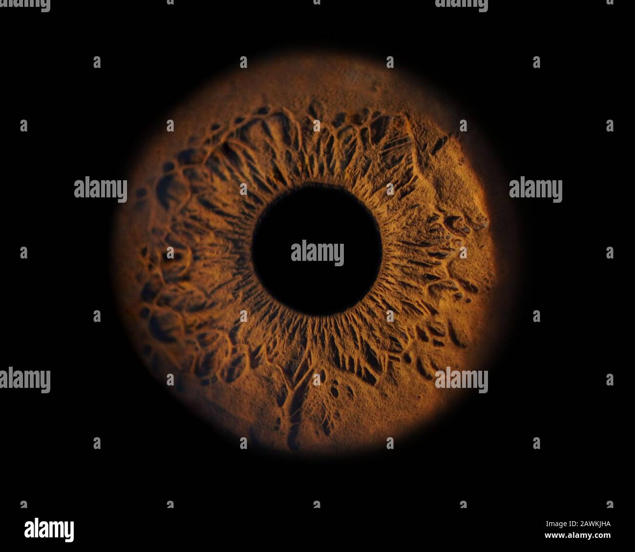 Human eye iris Stock Photo - Alamy