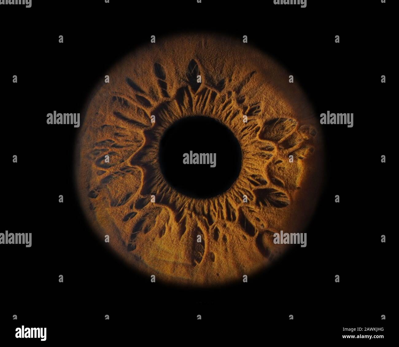 Human eye iris Stock Photo - Alamy
