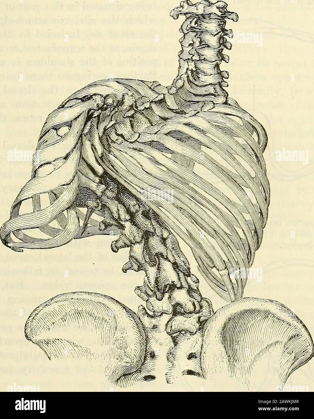 A system of surgery : theoretical and practical . ne becomes more acute ...