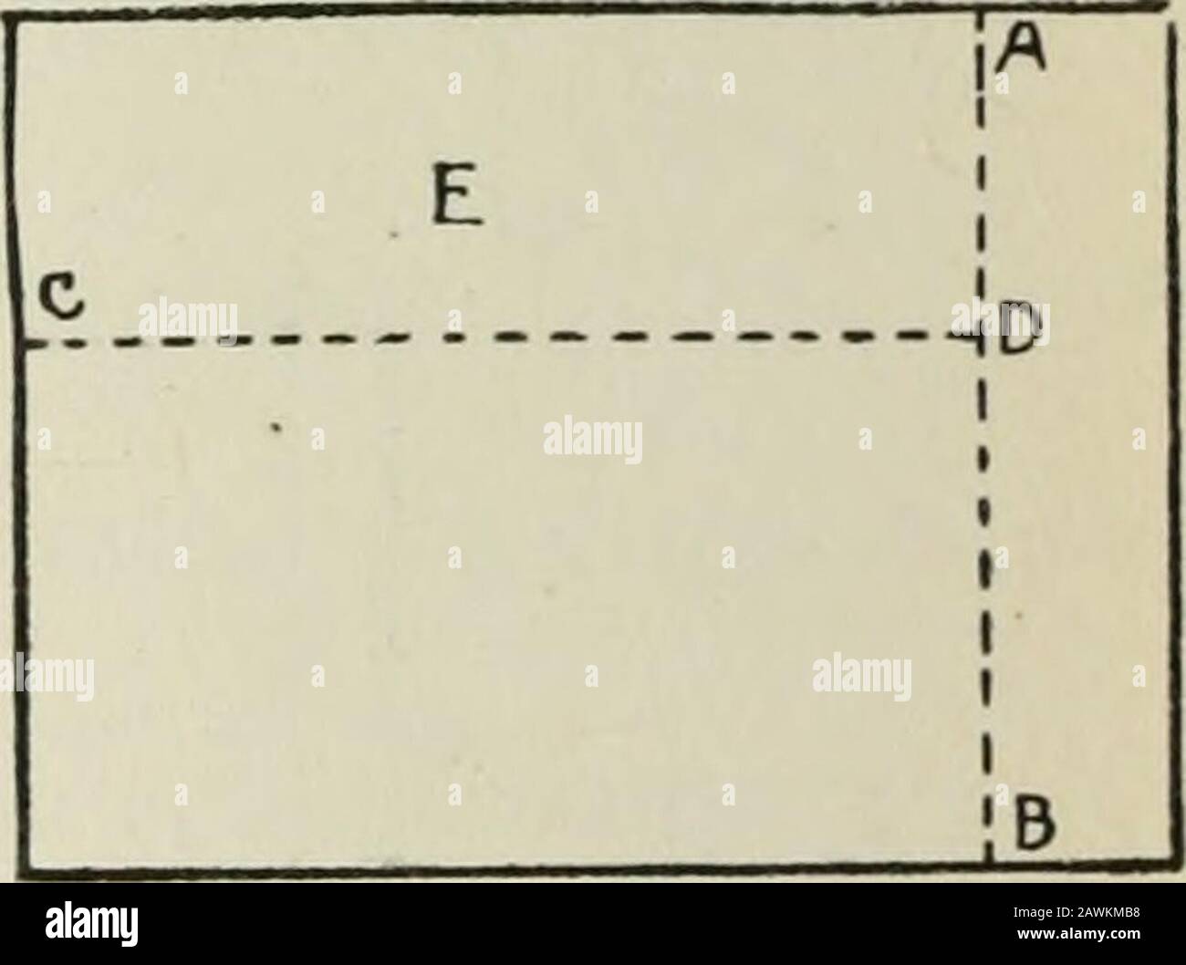 Fold Along Dotted Line