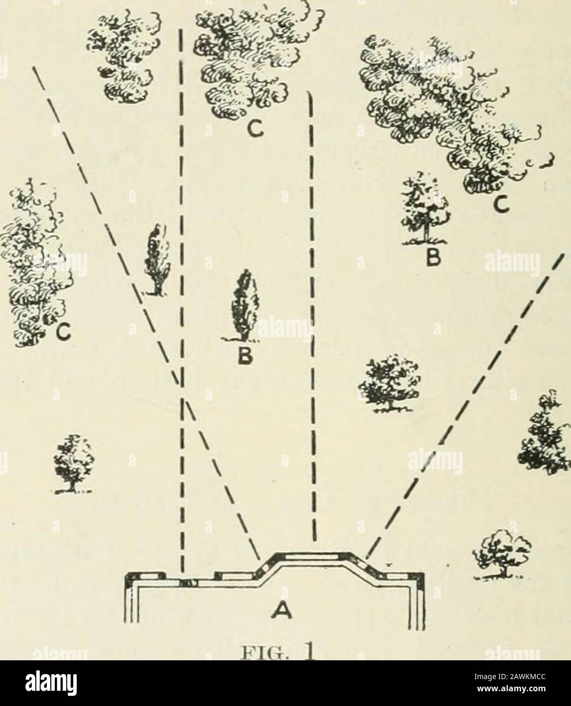 Specimen shrub hi-res stock photography and images - Alamy