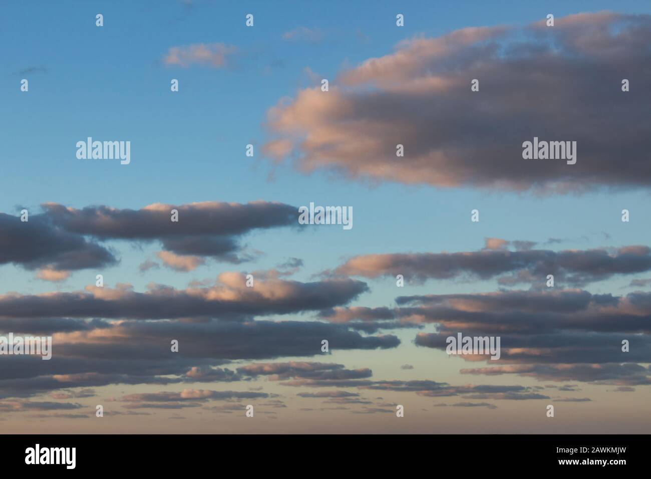 Fluffy flat clouds against a blue sky during golden hour Stock Photo ...