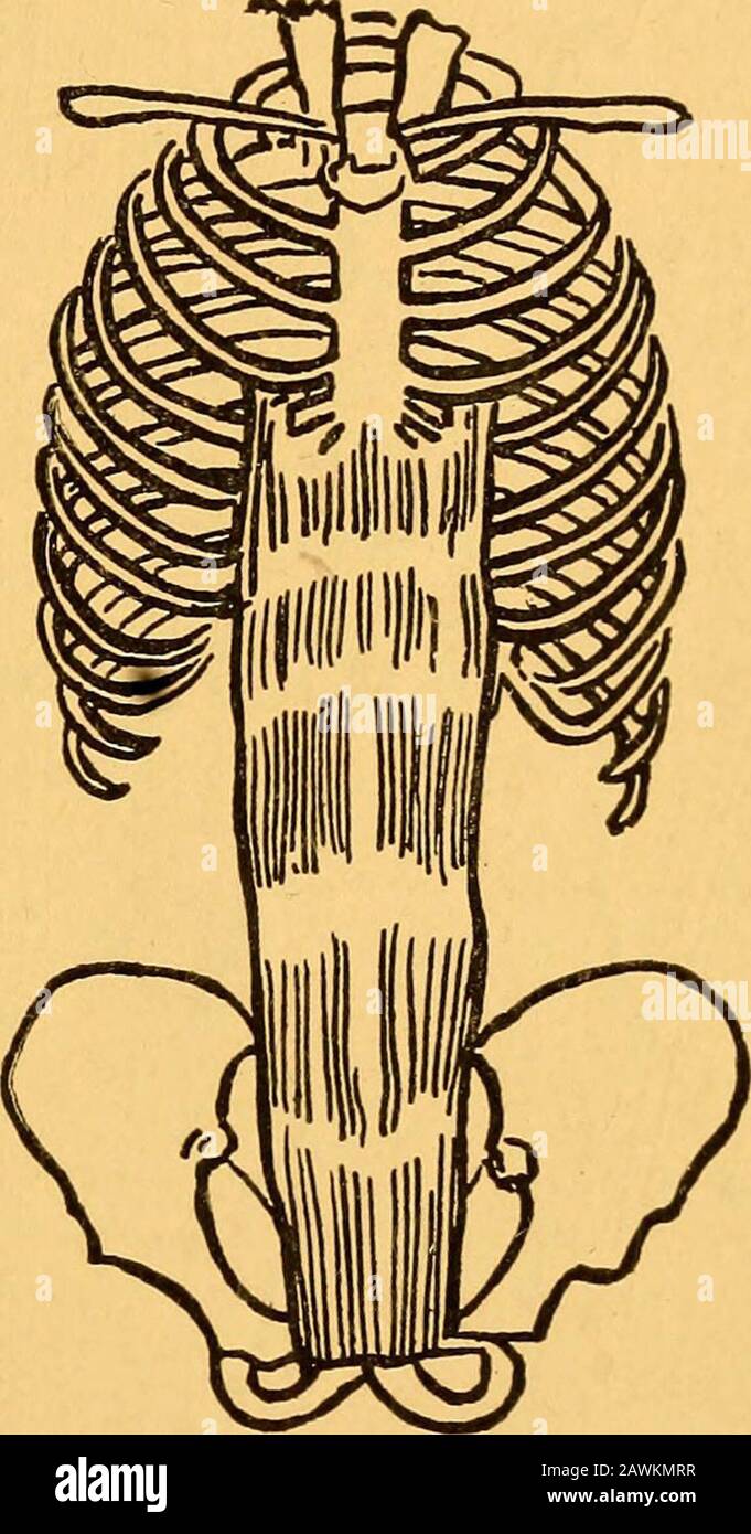 Pressing inward hi-res stock photography and images - Alamy