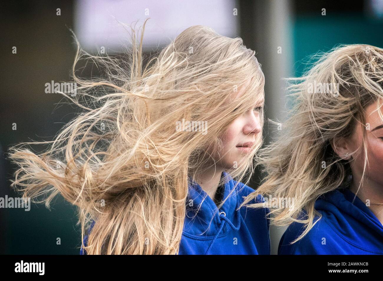 Unkempt wild windy hi-res stock photography and images - Alamy