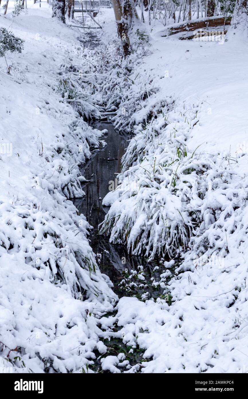 A water canal in winter that has snow covered the ground and trees ...
