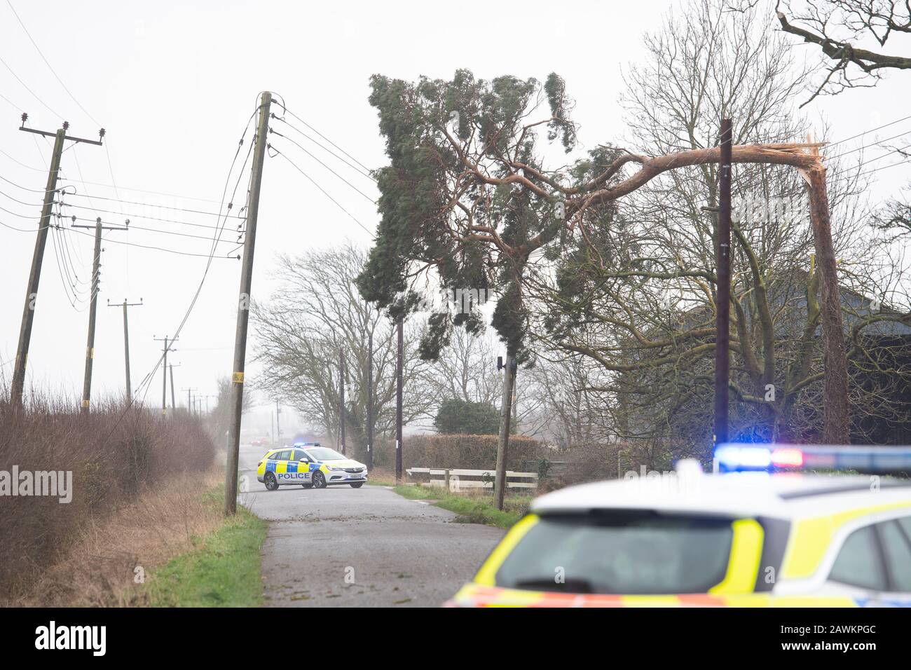 A fallen tree on power lines in Newborough near Peterborough, as Storm ...
