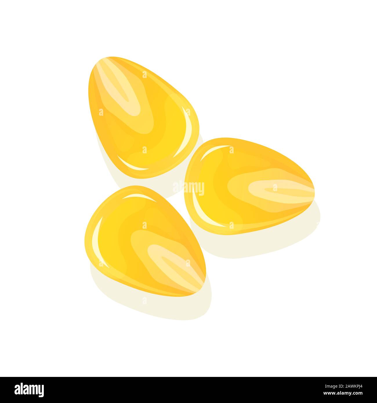 Seed Corn Isolated On White Background Ripe Corn Vector Illustration Stock Vector Image And Art