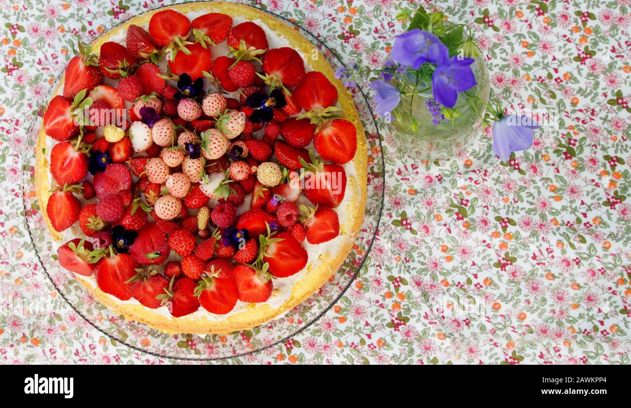 Summer suncake hi-res stock photography and images - Alamy