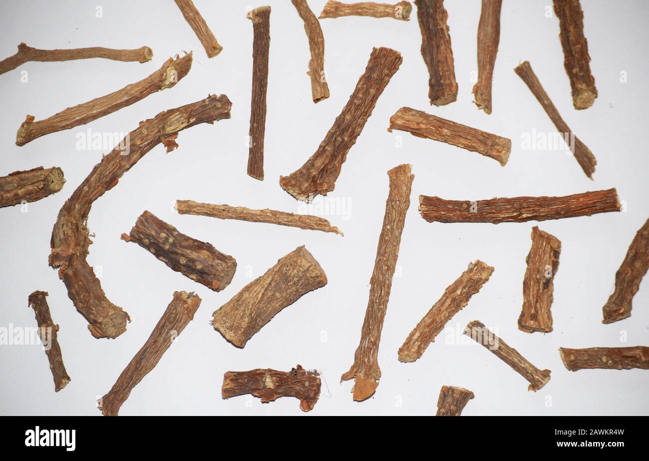 Dried Madder Root also known as Rubia tinctorum or Common madder or ...