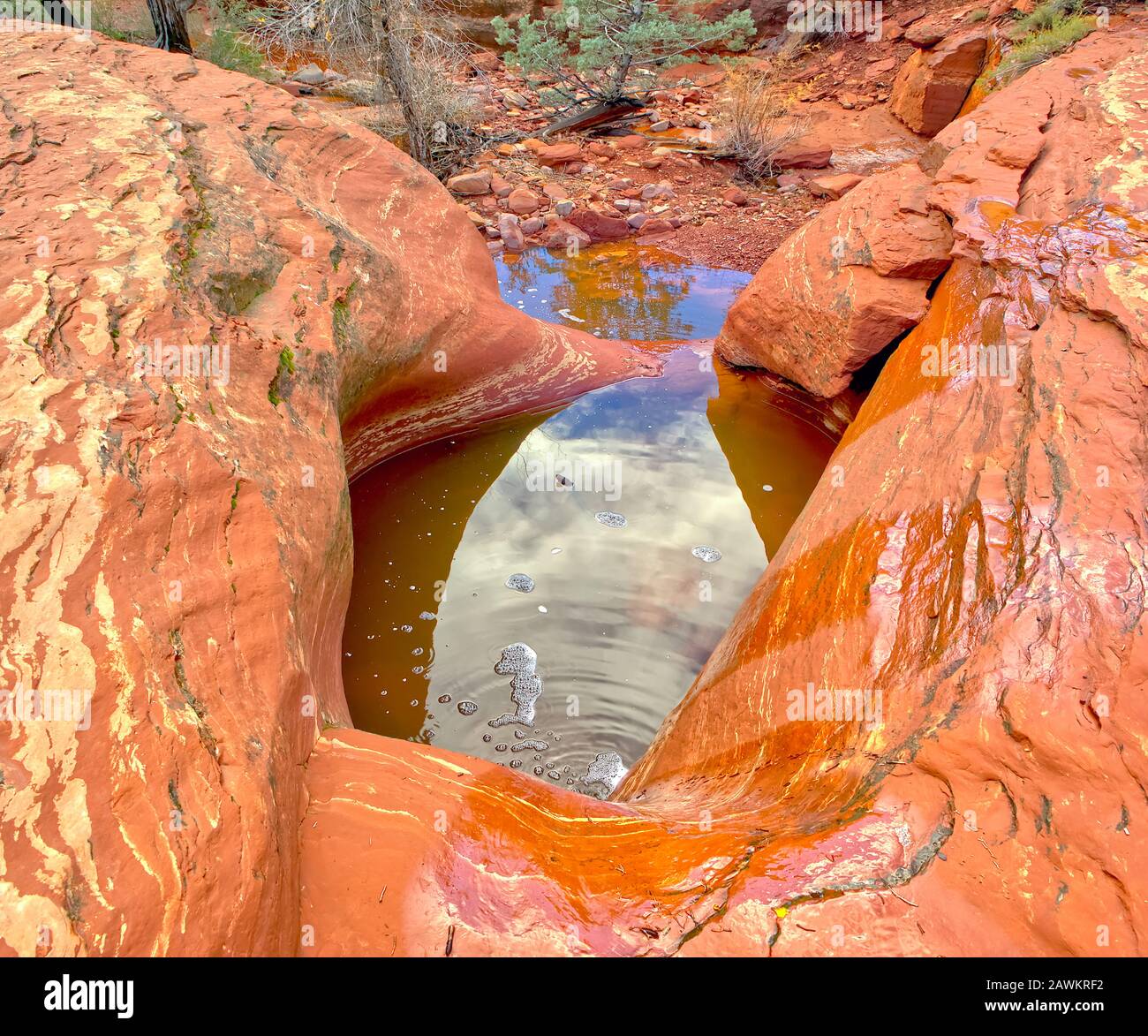 One of seven pools of water on a sandstone terrace along Soldiers Pass ...