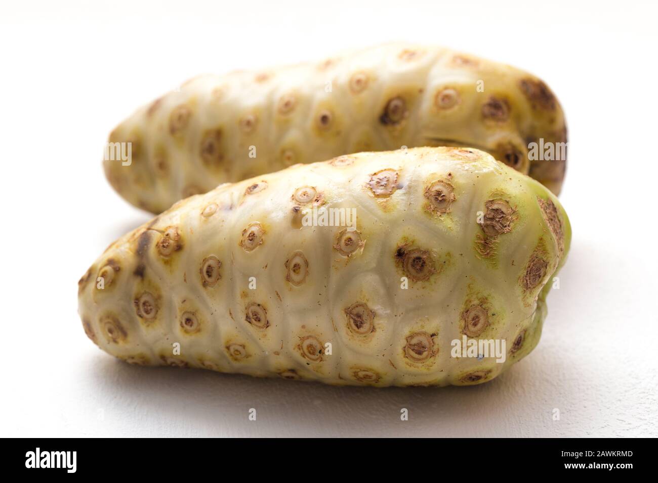 Noni or Morinda Citrifolia fruits isolated on white background ...