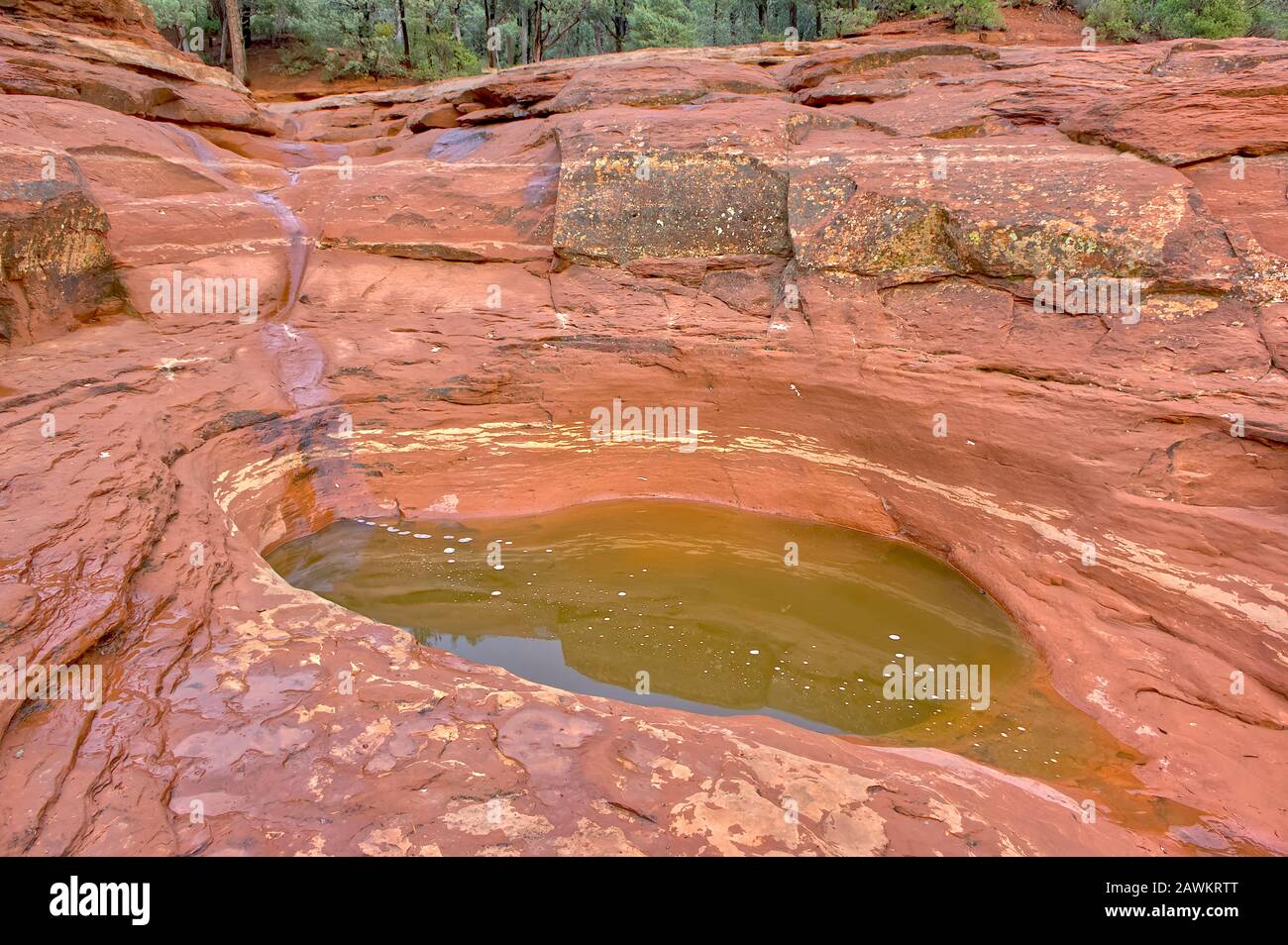 One of seven pools of water on a sandstone terrace along Soldiers Pass ...