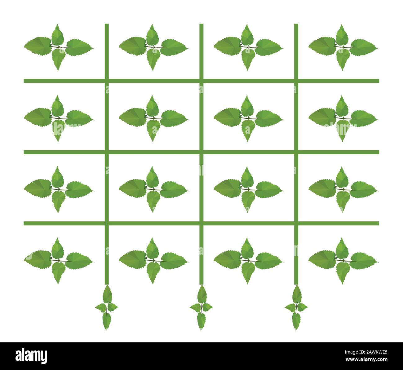 Design of leaf squares hi-res stock photography and images - Alamy
