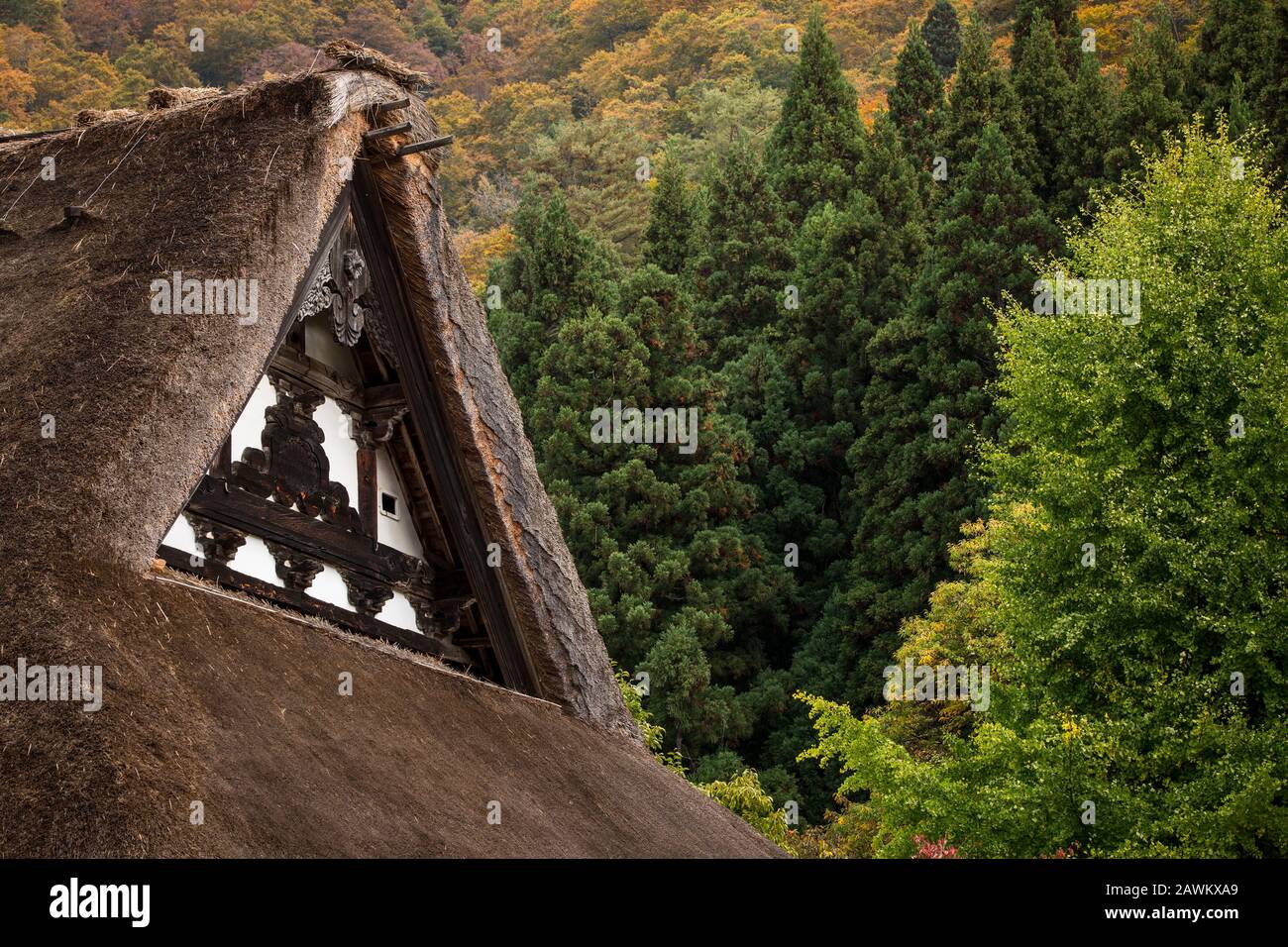Japanese go home hi-res stock photography and images - Alamy