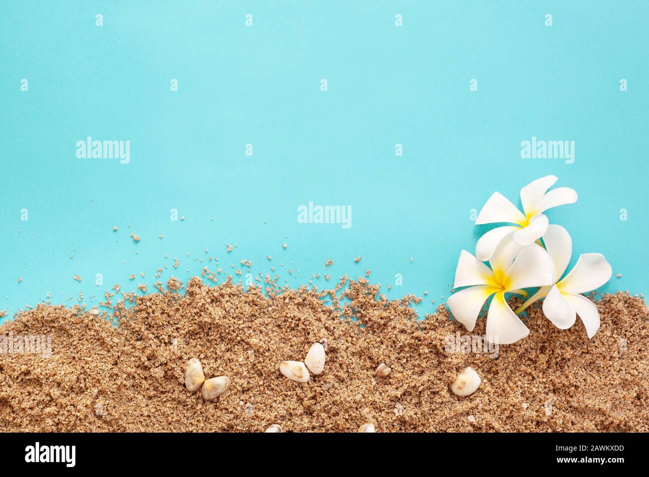 summer vacation concept. sand with shells, frangipani flowers on a ...