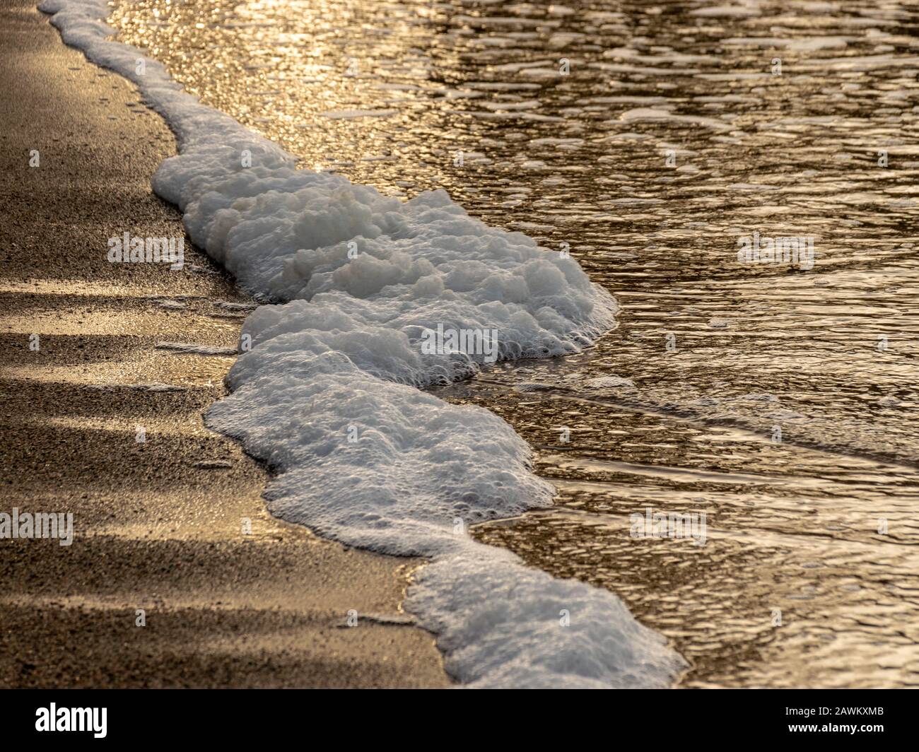 abstract backlit sea foam texture, beach and sea waves Stock Photo - Alamy