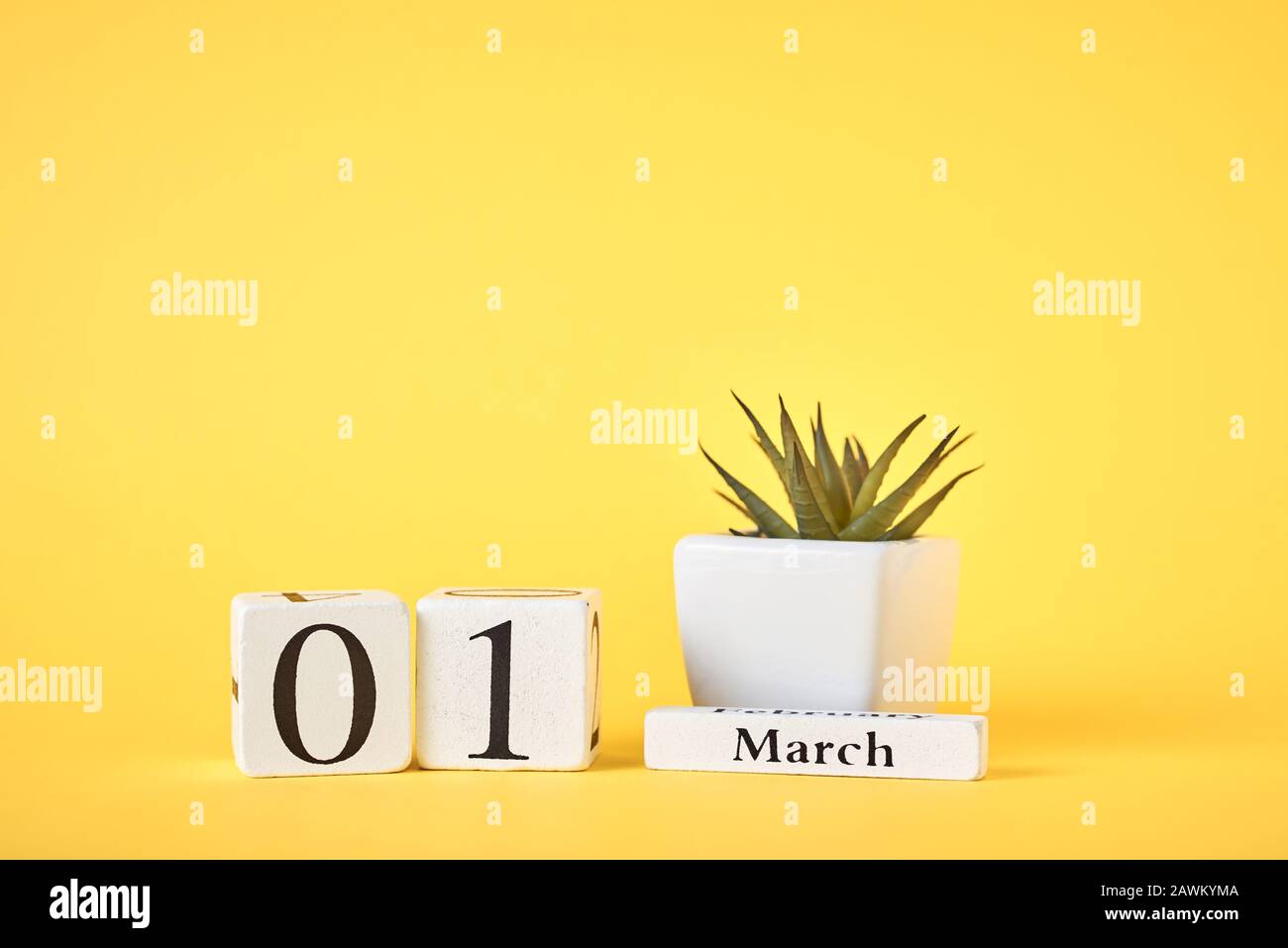 Wooden block calendar with date 1st march and plant on yellow ...