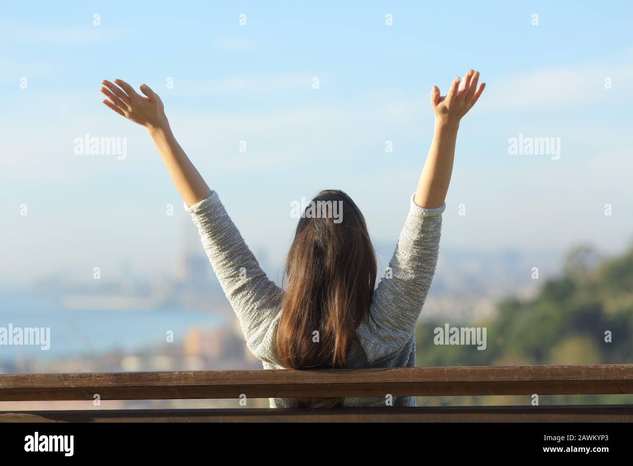 Back view portrait of a happy woman raising arms looking at horizon ...