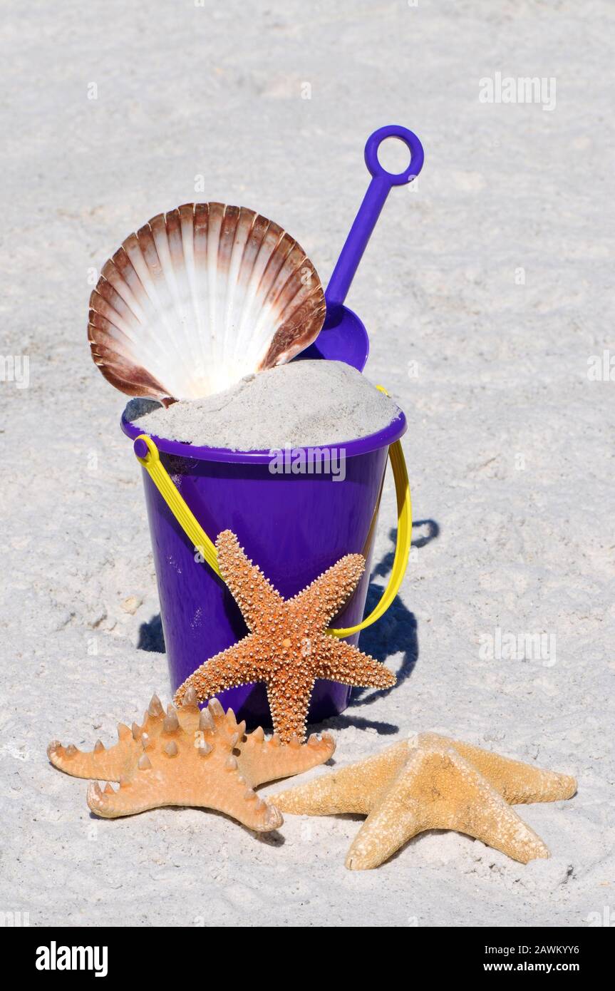 Beach Bucket with Starfish and Seashell Stock Photo - Alamy