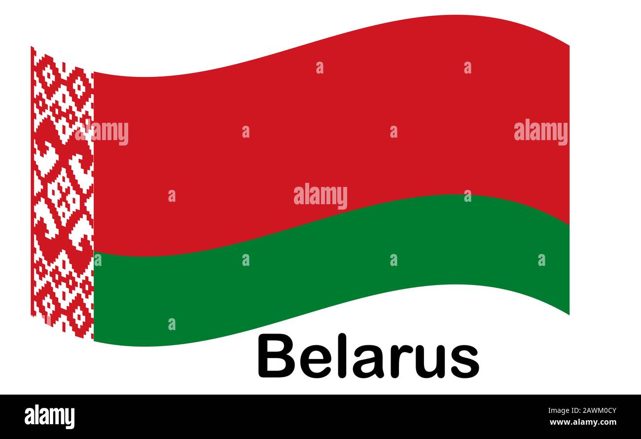 Flag of Belarus. Original and simple Belarus flag isolated in official ...