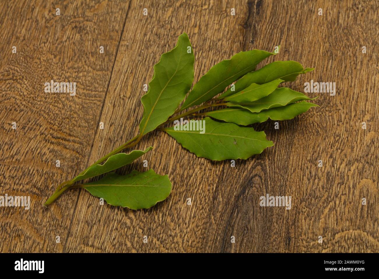Green laurel leaves on the branch - for cooking Stock Photo - Alamy