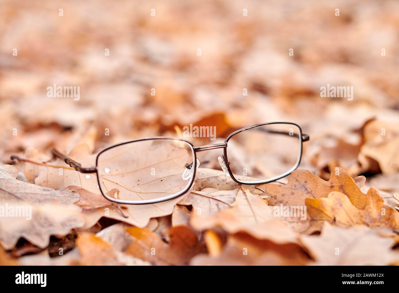 Glasses on autumn foliage. Autumn vision loss concept. Vitamin ...