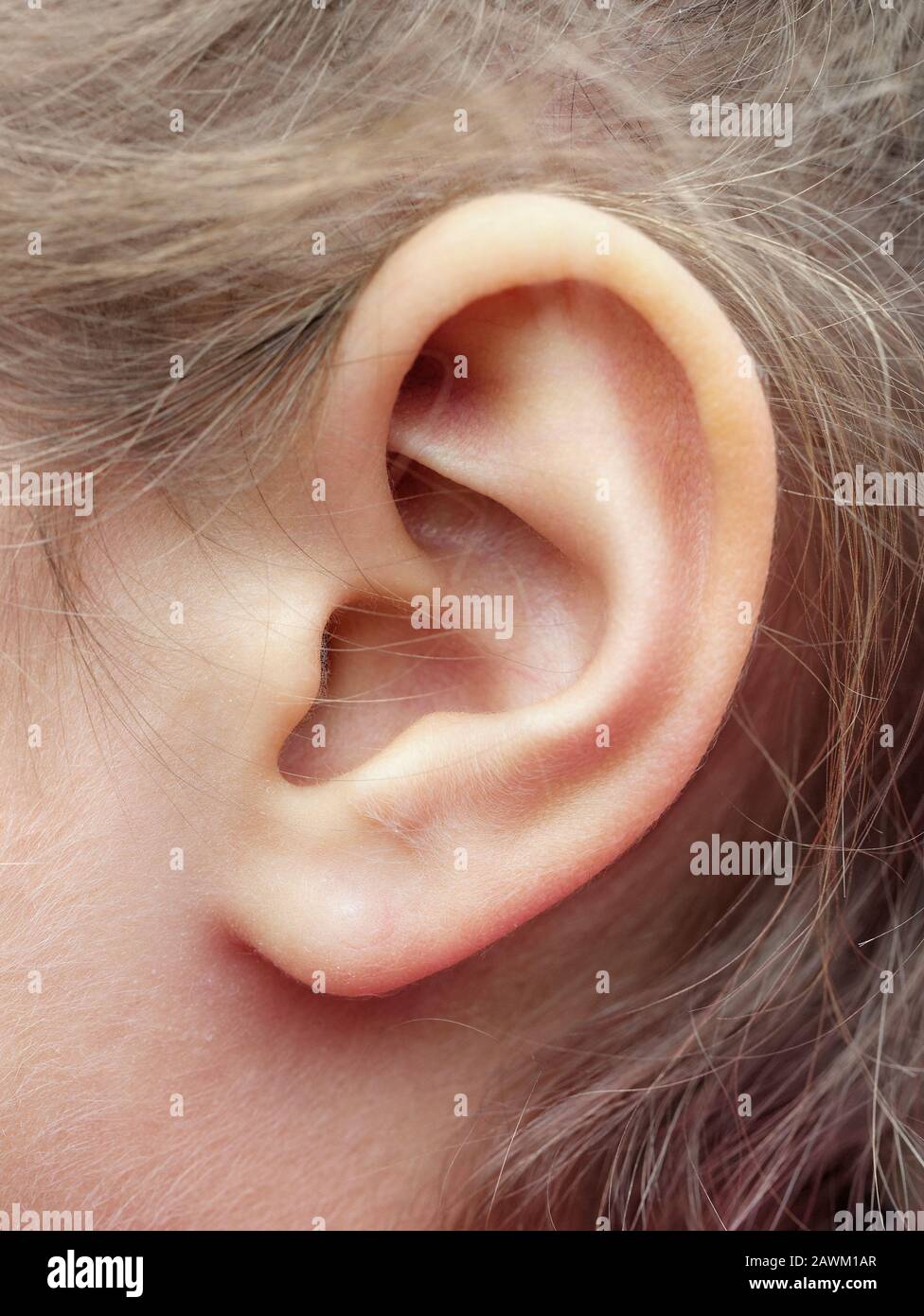 Ear child anatomy hi-res stock photography and images - Alamy