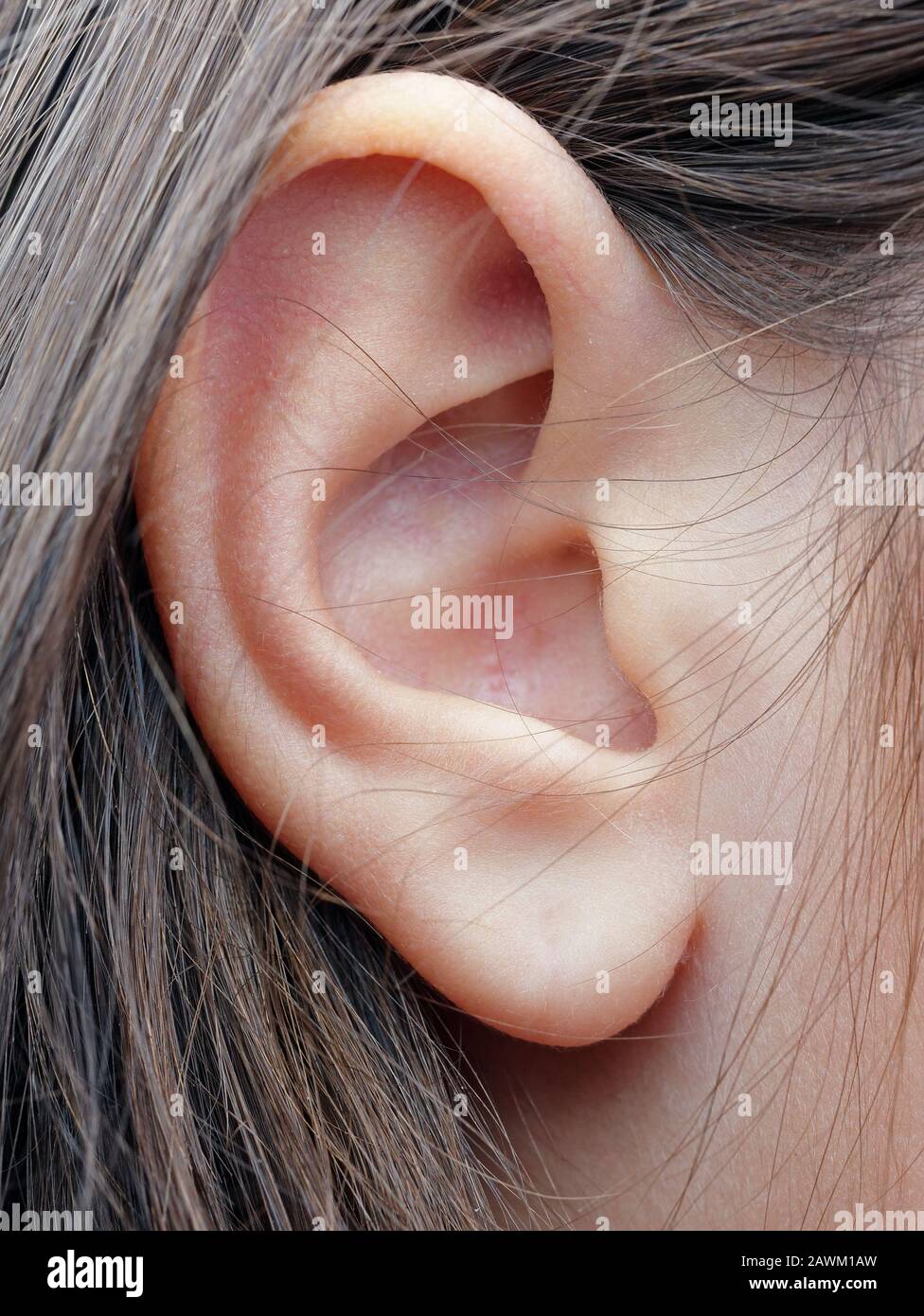 Ear child anatomy hi-res stock photography and images - Alamy