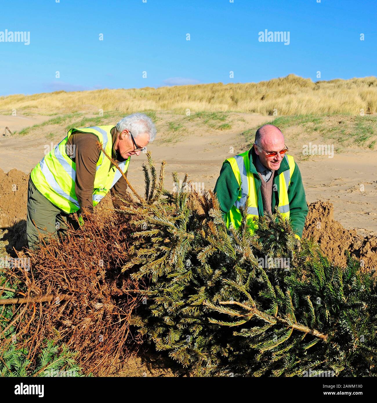 Conservation planting hi-res stock photography and images - Alamy